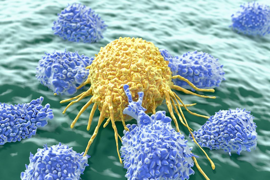 Research Updates - Leading Discoveries Magazine